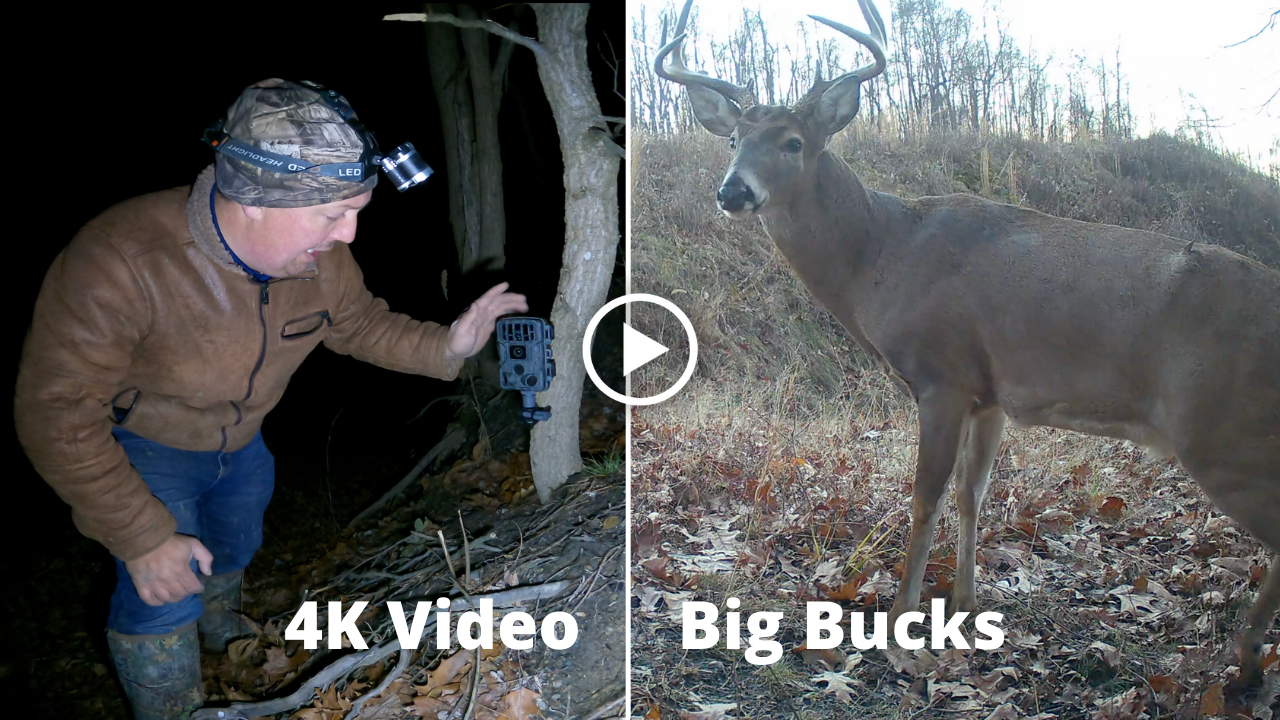 4K Video Trail Camera | AMAZING Buck Footage - Unlimited Whitetail Hunting